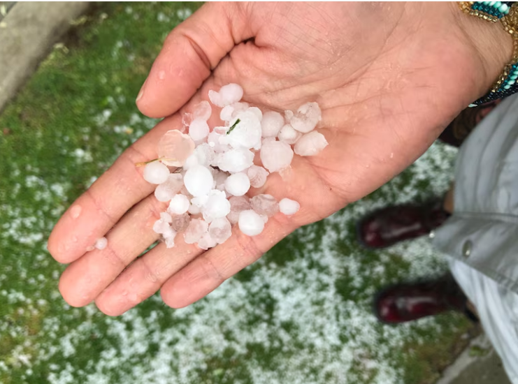Texas Homeowners Face Spike in Insurance Premiums Due to Increased Hail ...
